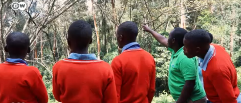 Rwanda's next generation of environmentalists - The Forefront Mag