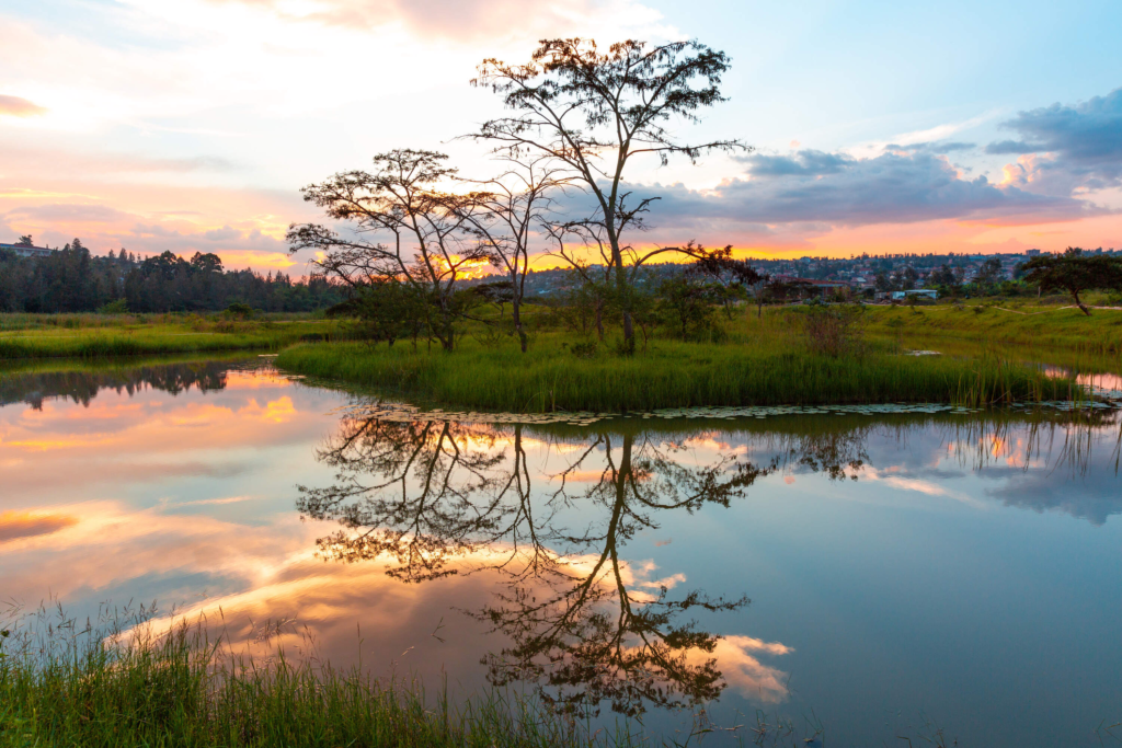 Rwanda calls on the world to put nature first and agree on an ambitious ...