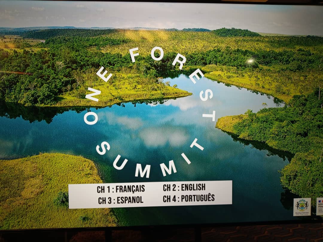 One Forest Summit: Commonwealth Secretary-General urges immediate ...