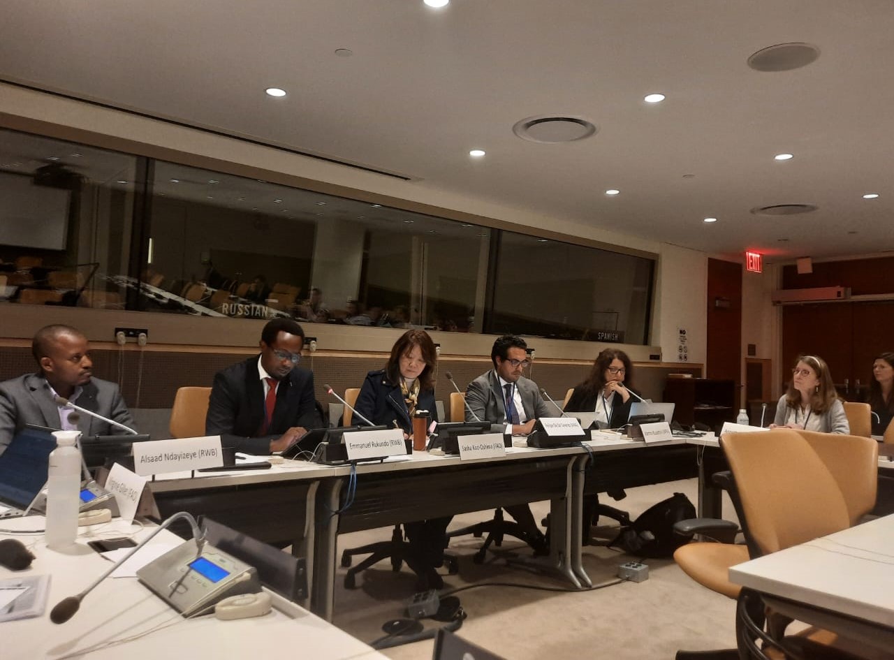 How Rwanda struggling with water stress: RWB’s D. General Dr. Rukundo ...