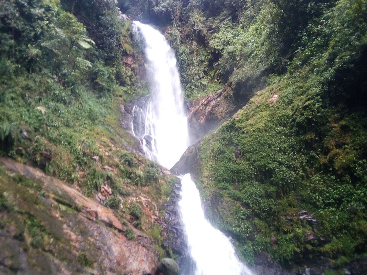 Nyungwe Park, the major source of Rwandan water - The Forefront Mag