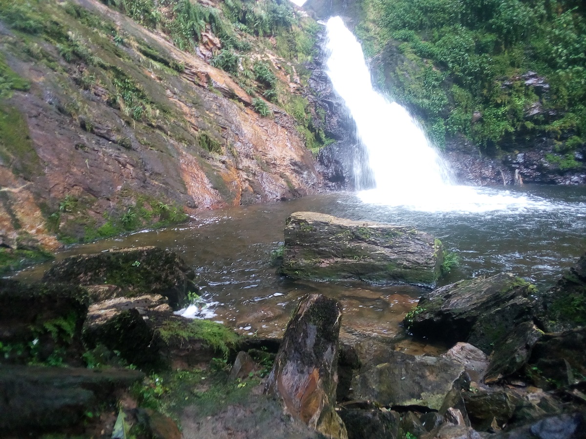 Nyungwe Park, the major source of Rwandan water - The Forefront Mag