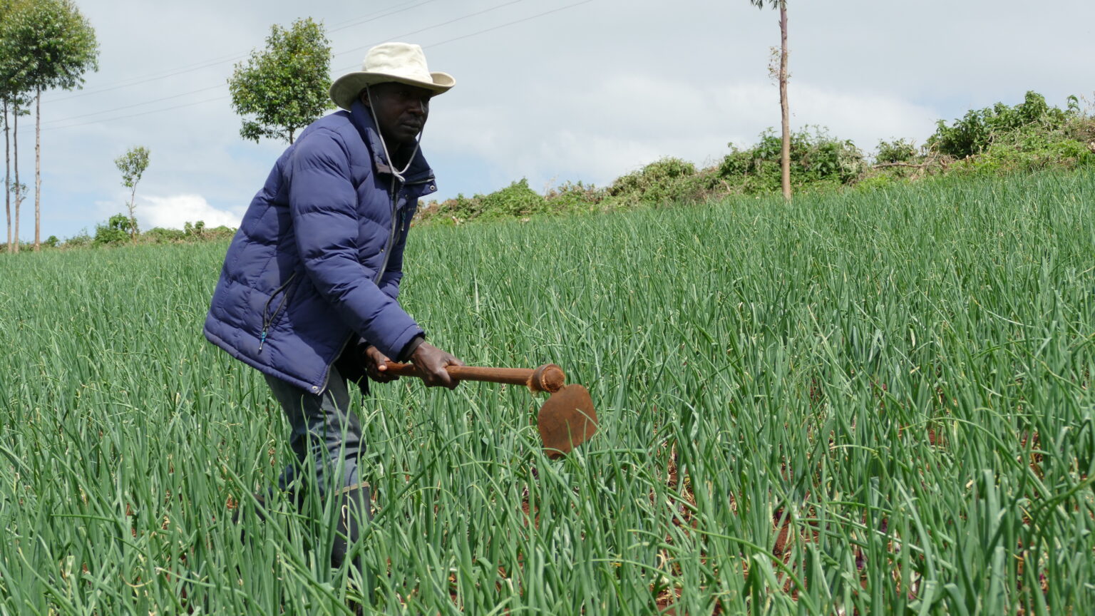 Western Kenya residents fear for their livelihoods as boreholes run dry ...