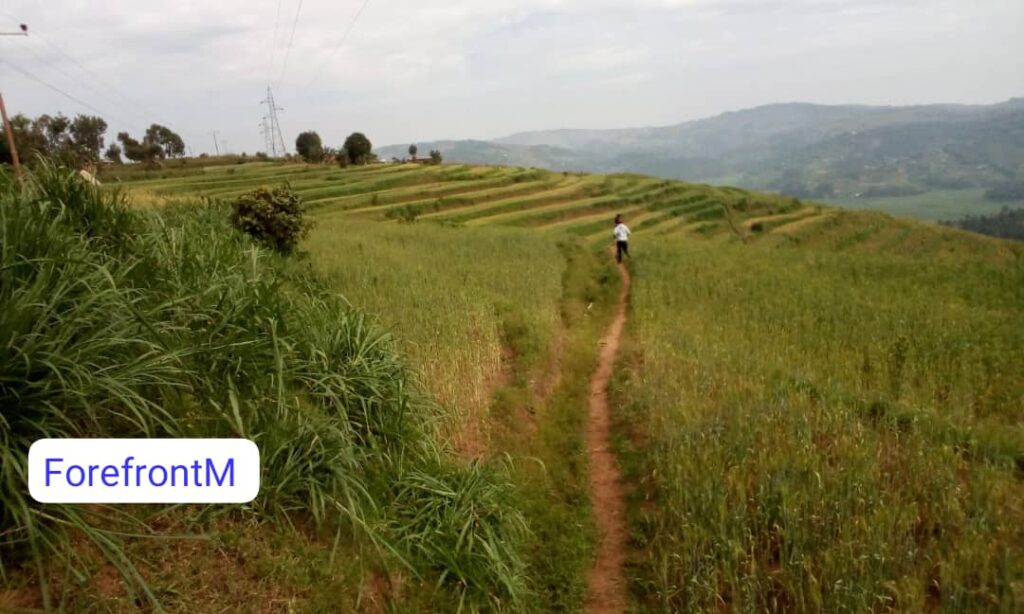 The important policy you may know on environment and climate change in ...