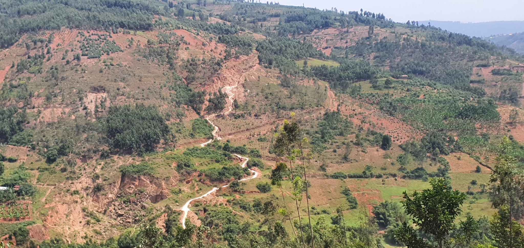 Lives in Ruin: The Trail of Devastation Left by Illegal Miners in ...