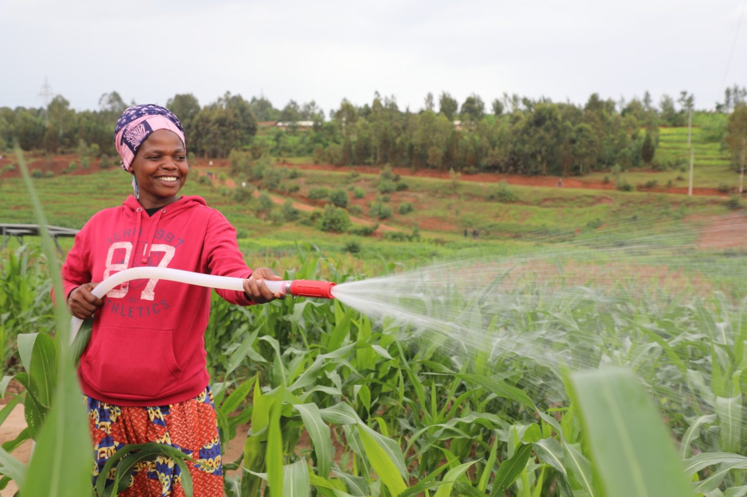 Solar-Powered Irrigation System Inaugurated in Gisagara-Save to Enable ...