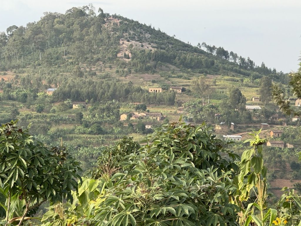 Corruption undermines Rwanda’s nutrition programs for women and ...