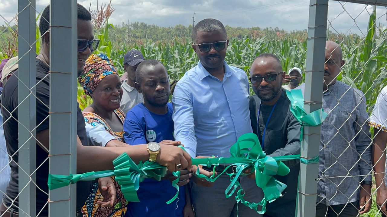 Solar-Powered Irrigation System Inaugurated in Gisagara-Save to Enable ...